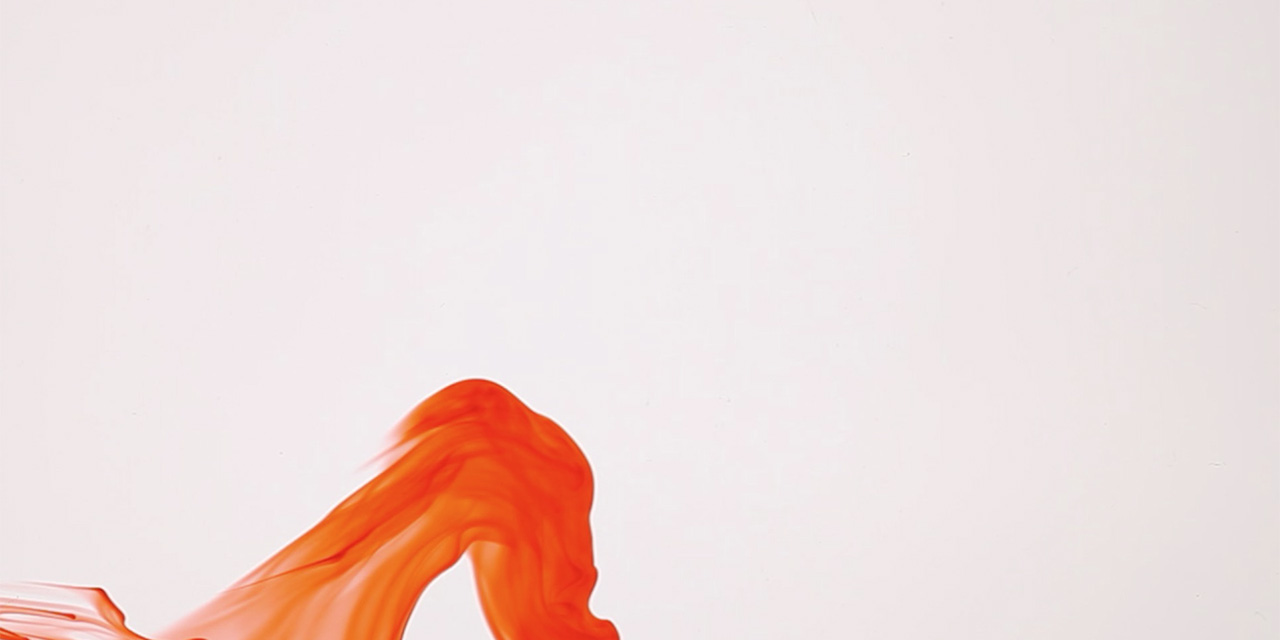 Daylight Dream | Joseph Smallhoover EL